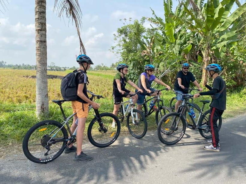 Ubud: Downhill Bike Tour with Rice Fields, Volcano and Meal - Key Points
