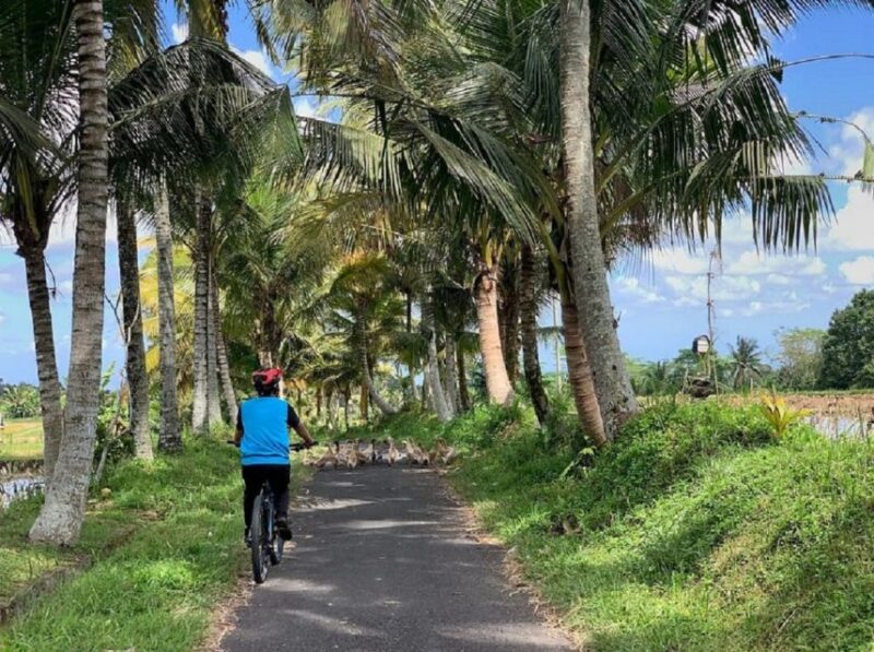 Ubud: Downhill Cycling with Volcano, Rice Terraces, and Meal - Key Points