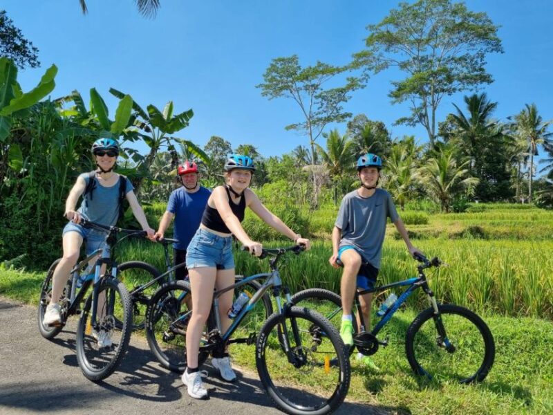 Ubud: Downhill Cycling with Volcano, Rice Terraces, and Meal - The Experience’s Value