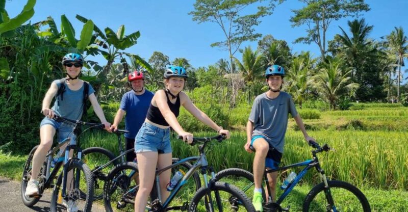 Ubud: Downhill Cycling with Volcano, Rice Terraces, and Meal - Final Thoughts: Is it Worth It?