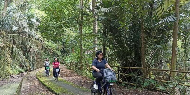 Ubud e-Bike Tour & Whitewater Rafting - Key Points