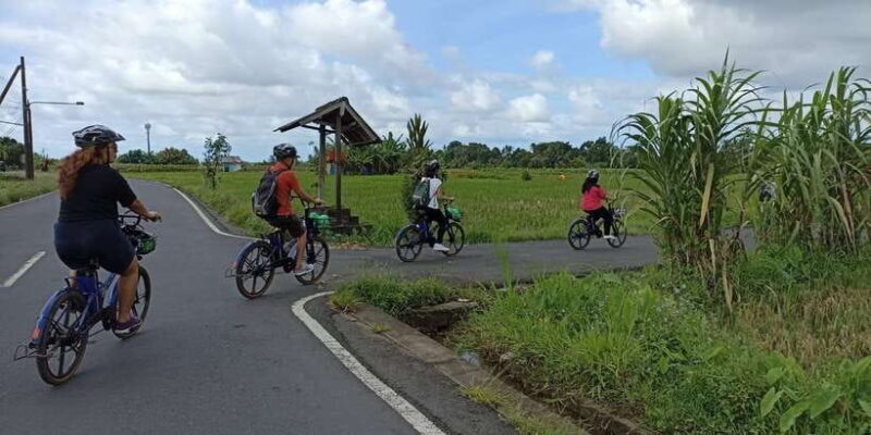 Ubud e-Bike Tour & Whitewater Rafting - Authentic Experiences and Authenticity
