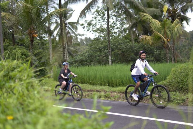 Ubud: E-Bike Tour with Rice Terrace and Village Visit - An Honest Look at the Ubud E-Bike Tour Experience