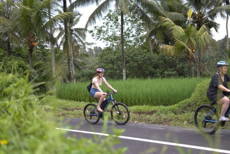 Ubud: E-Bike Tour with Rice Terrace and Village Visit - Detailed Breakdown of the Itinerary