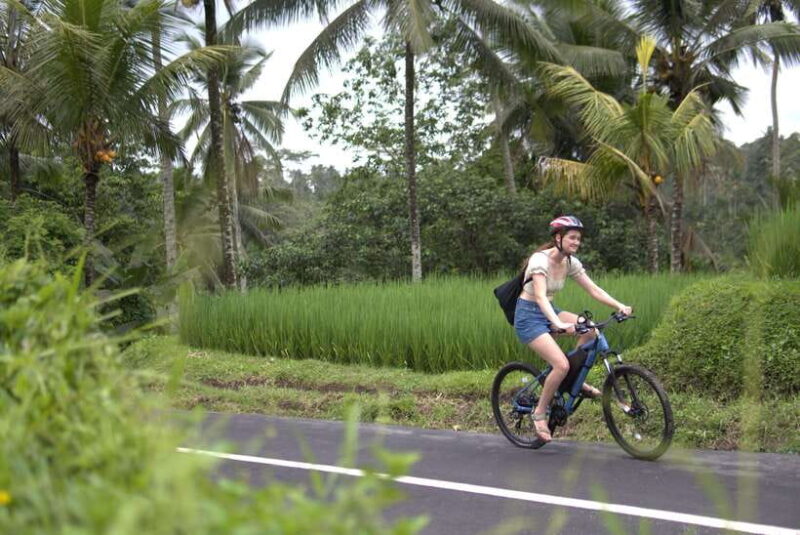 Ubud: E-Bike Tour with Rice Terrace and Village Visit - Authenticity and the Reviews