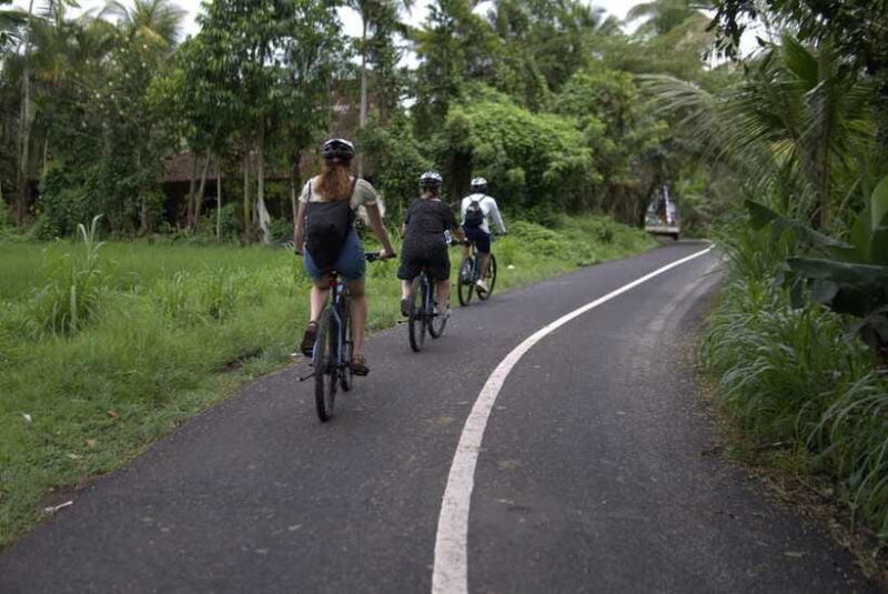 Ubud: E-Bike Tour with Rice Terrace and Village Visit - Final Thoughts: Who Should Book This Tour?