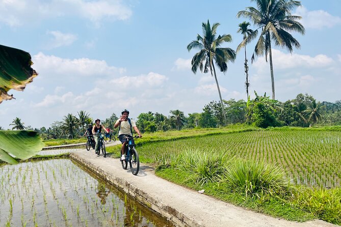 Ubud eBikes Tour to Tegallalang Rice Terrace - Final Thoughts