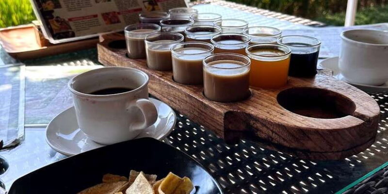 Ubud Eco-Adventure: Farm, Rice Terraces, River & Dance Show! - Who Should Consider This Tour?