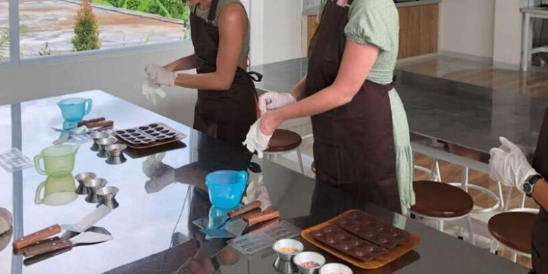 Ubud: Exclusive Chocolate Experience, Monkey Forest & Swing - Key Points