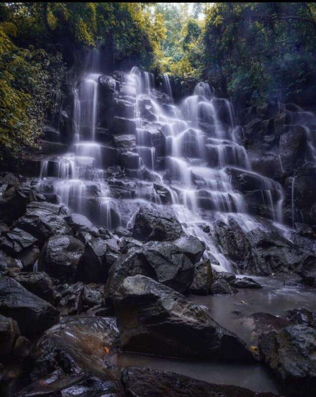 Ubud Experience : Waterfalls, Rice Terraces and Water Temple - Authentic Experiences and Review Highlights