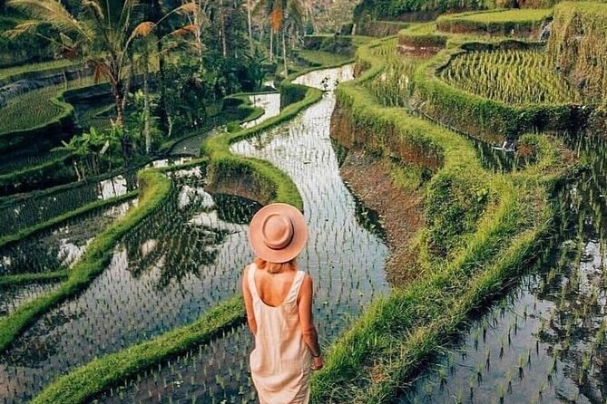 Ubud Explorer Private Day Tour - Authentic Experiences in a Compact Day