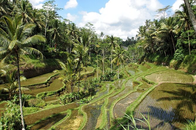 Ubud Explorer Private Day Tour - The Sum Up