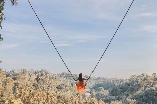 Ubud Full Day - Monkey Forest, Temple and Waterfalls Tour - Key Points