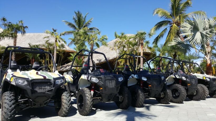 Ubud: Full-Day Mountain Biking and Jungle Buggy Experience - The Sum Up
