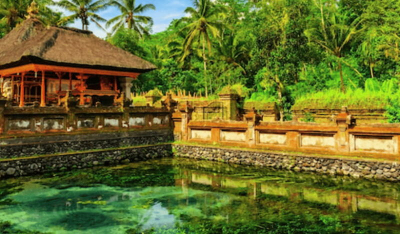 Ubud Full Day Private Tour with All Inclusive - Final Thoughts
