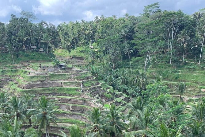 Ubud Full Day Sightseeing Private Guided Tour - Final Thoughts: Is It Worth It?