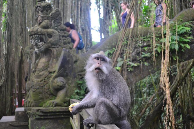 Ubud Full Day Tour - Costumeize Your Own Trip - An In-Depth Look at the Ubud Full Day Tour