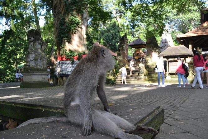 Ubud Full Day Tour - Costumeize Your Own Trip - Who Should Consider This Tour?