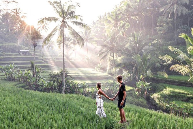 Ubud Full Day Tour Waterfall Monkey Forest Rice Terrace - FAQ