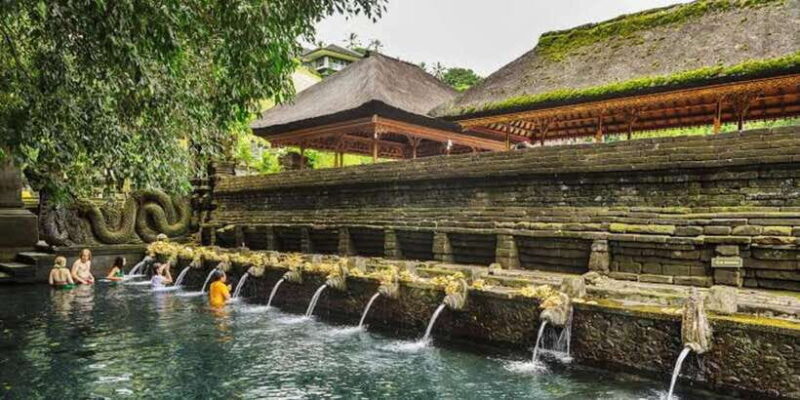 Ubud Full Day Tour with Private Car - Authentic Experiences and Practical Insights