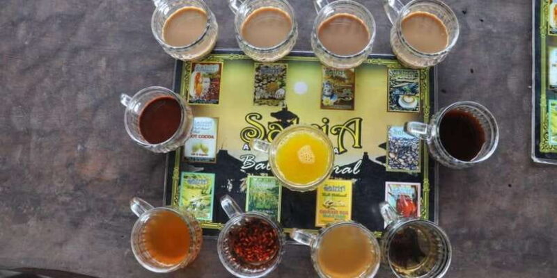 Ubud : fullday tour with jungle swing - The Itinerary Breakdown