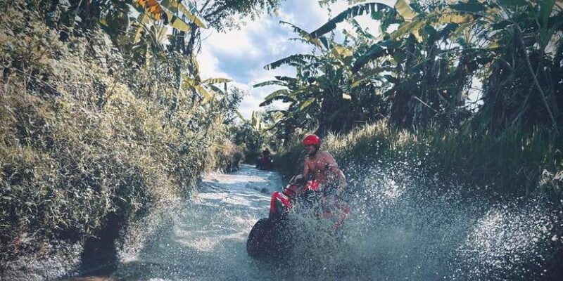 Ubud: Gorilla Face ATV & Batur Natural Hotspring with Lunch - Key Points