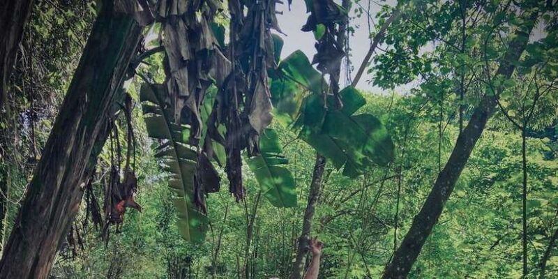 Ubud: Gorilla Face ATV & Batur Natural Hotspring with Lunch - Practical Details and Considerations