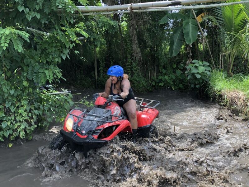 Ubud: Gorilla Face ATV Quad Bike Adventure with Lunch - What You Can Expect During the Tour