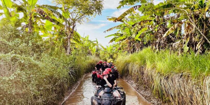 Ubud: Gorilla Face Quad Bike, Jungle Swing, Waterfall & Meal - Key Points