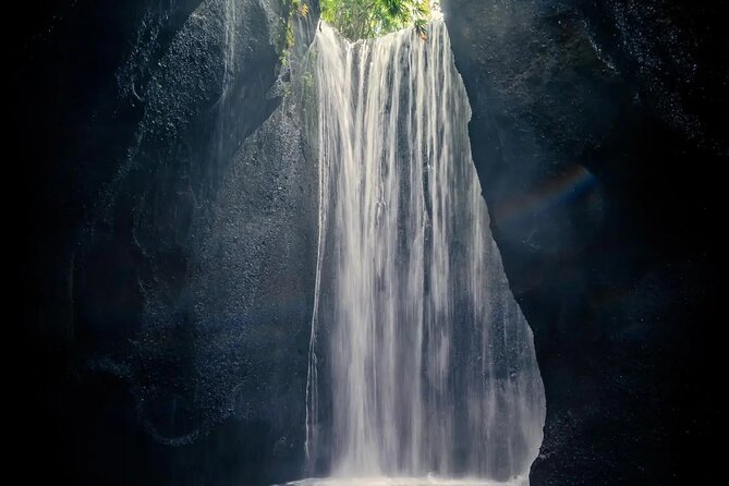 Ubud Guided Tour Monkey Forest, Waterfall, Temple & Rice Terrace. - Who Should Consider This Tour?