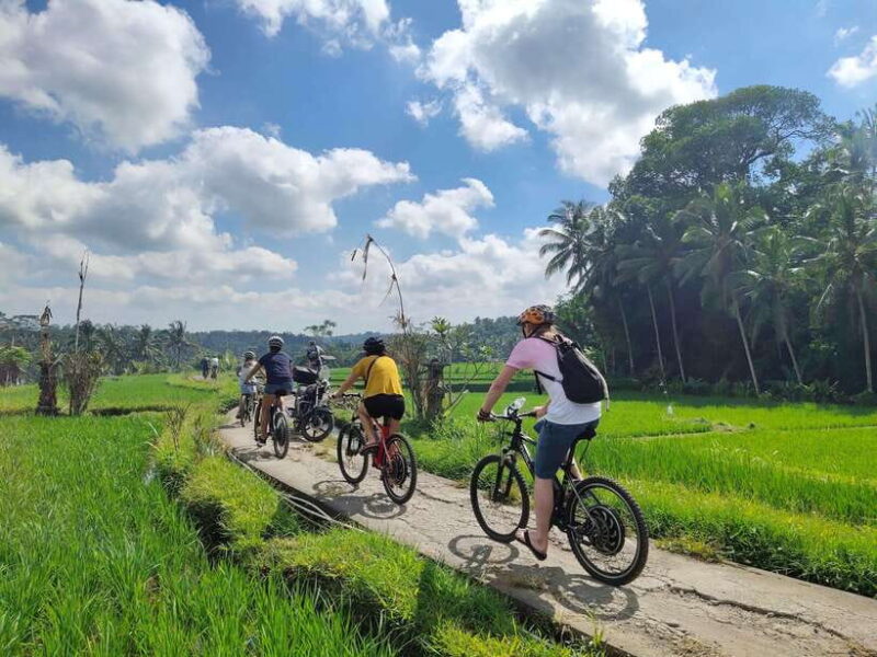 Ubud: Half-Day Tegallalang Electric Cycling Tour - Key Points