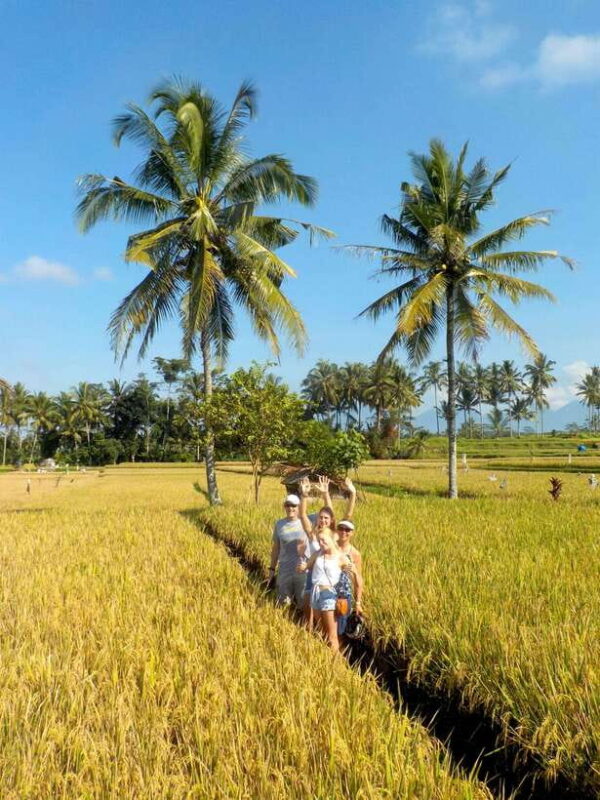 Ubud: Half-Day Tegallalang Electric Cycling Tour - Practical Details and Value