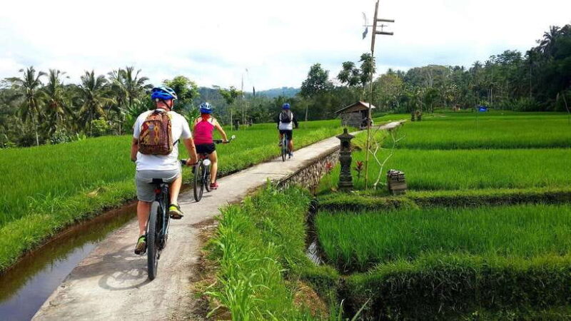 Ubud: Half-Day Tegallalang Electric Cycling Tour - Who Should Consider This Tour?