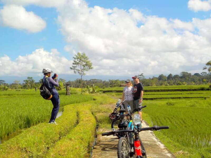 Ubud: Half-Day Tegallalang Electric Cycling Tour - The Sum Up