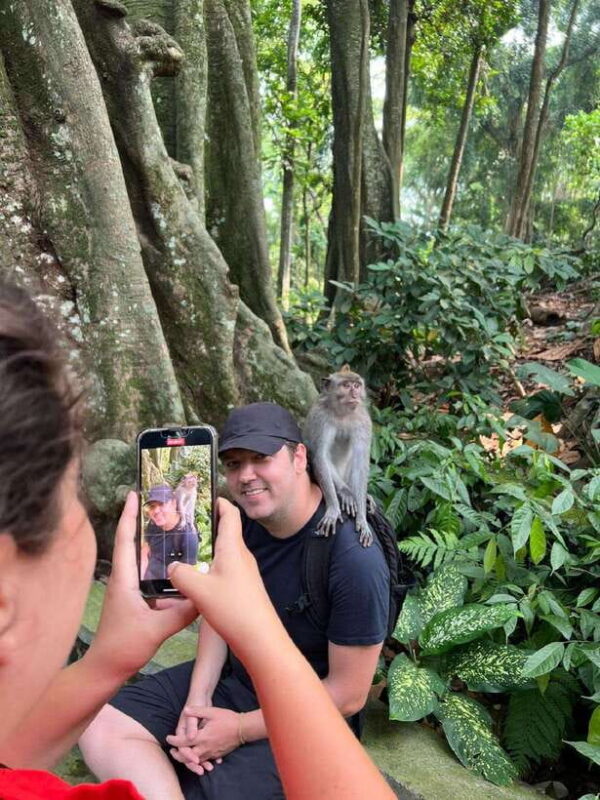 Ubud Half Day Waterfall Tour & Temple - Key Points