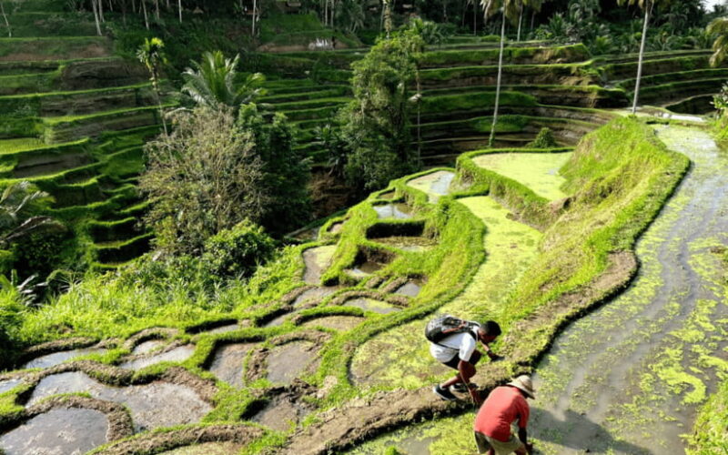 Ubud Half Day Waterfall Tour & Temple - Gunung Kawi Sebatu Temple: Spiritual and Historic Significance