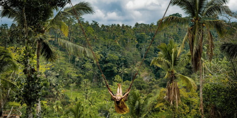 Ubud: Half-Day Zipline and Jungle Swing Adventure - Key Points