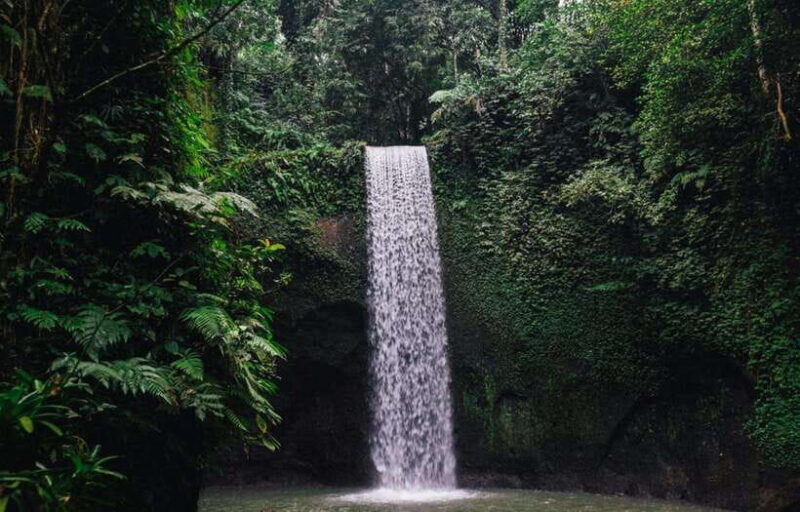 Ubud Hidden Gems: Waterfall Tour - The Experience Provider: Bali Paradise Trip