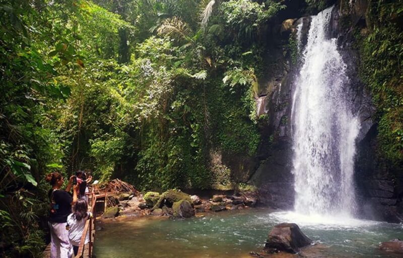 Ubud Hidden Gems: Waterfall Tour - Who Is This Tour Best For?