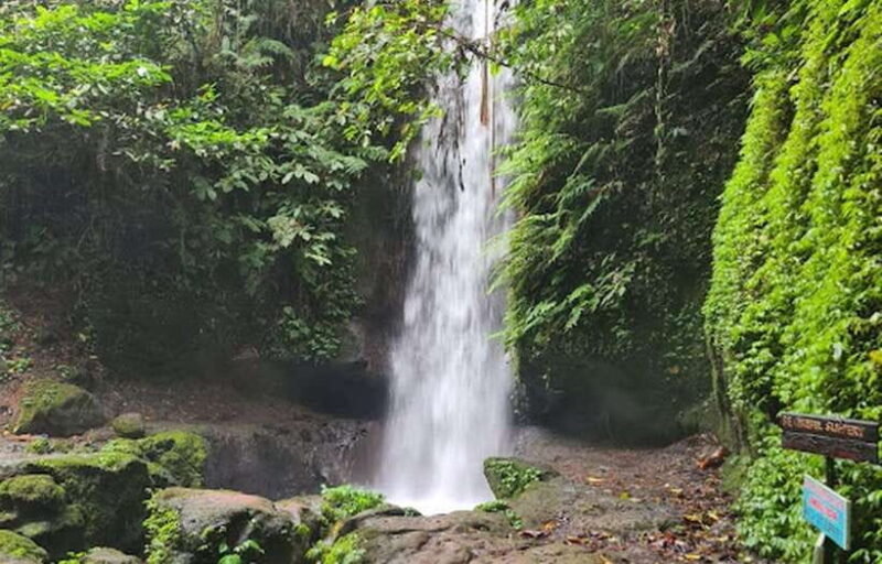 Ubud Hidden Gems: Waterfall Tour - FAQ