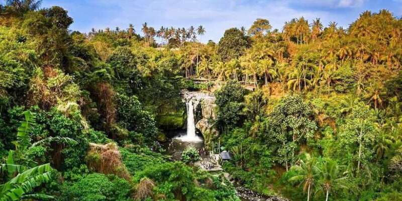 Ubud Hidden Gems: Waterfall Tour - Practicalities: What to Know Before You Go
