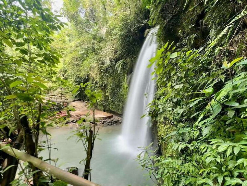 Ubud: Hidden Waterfall, Monkey Forest, Rice Terrace & Swing - What Travelers Say: Authentic Reviews