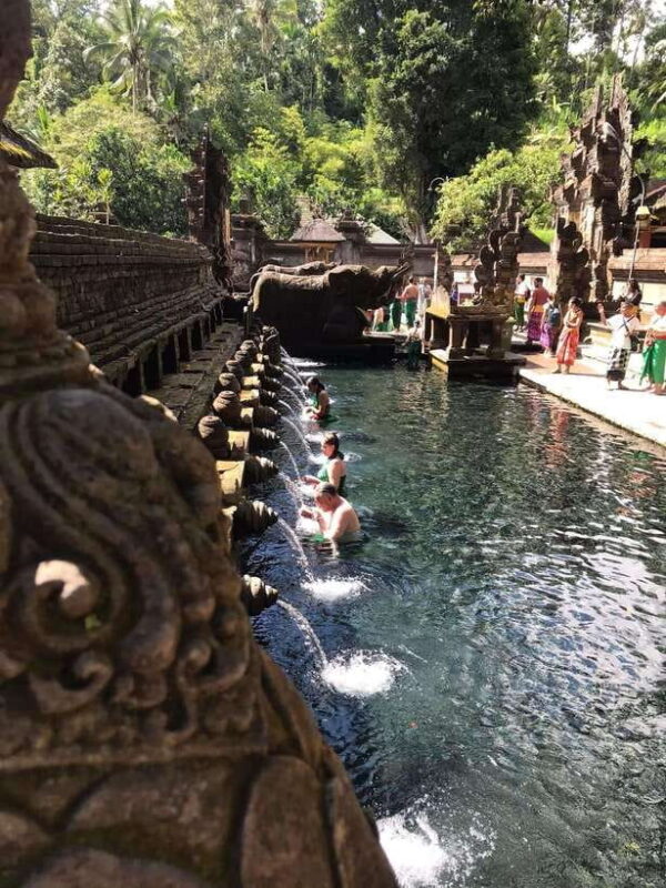Ubud: Hidden Waterfall, Water Temple & Rice Terrace Tour - Who This Tour Is Best For