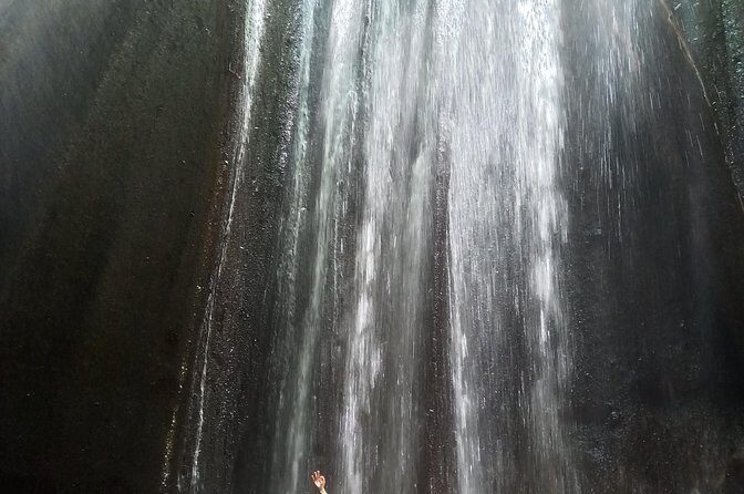 Ubud Hidden Waterfalls Private Day trip - Introduction