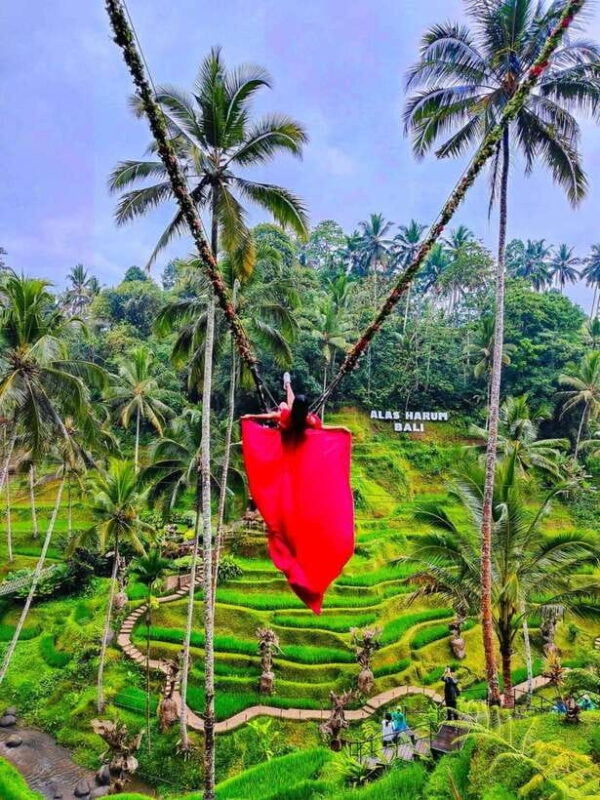 Ubud: Highlight Best of Ubud Day Tour - Key Points