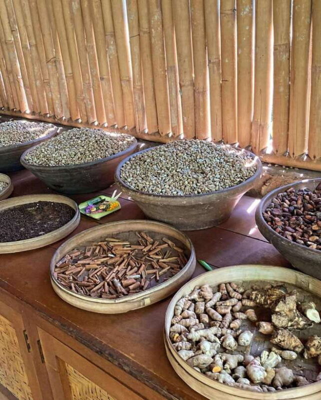 Ubud: Highlight Best of Ubud Day Tour - Who Is This Tour Best For?