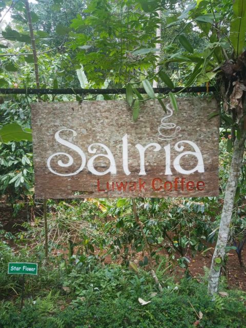 Ubud: Highlight Best of Ubud Day Tour - Final Thoughts