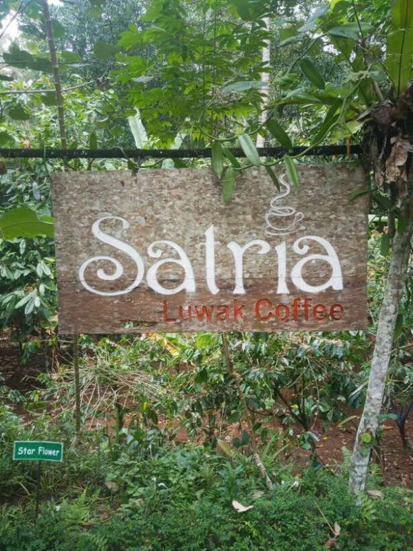 Ubud: Highlight Best of Ubud Day Tour - FAQs