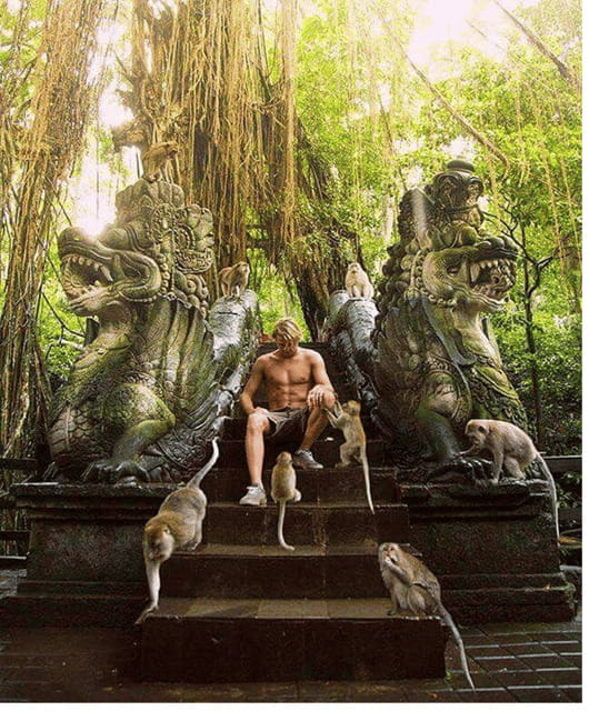 Ubud: Highlight Nature Wildlife, Swing & Waterfall - Balance and Value