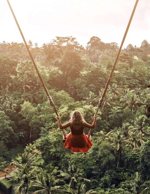 Ubud: Highlight Nature Wildlife, Swing & Waterfall - Who Will Love This Tour?